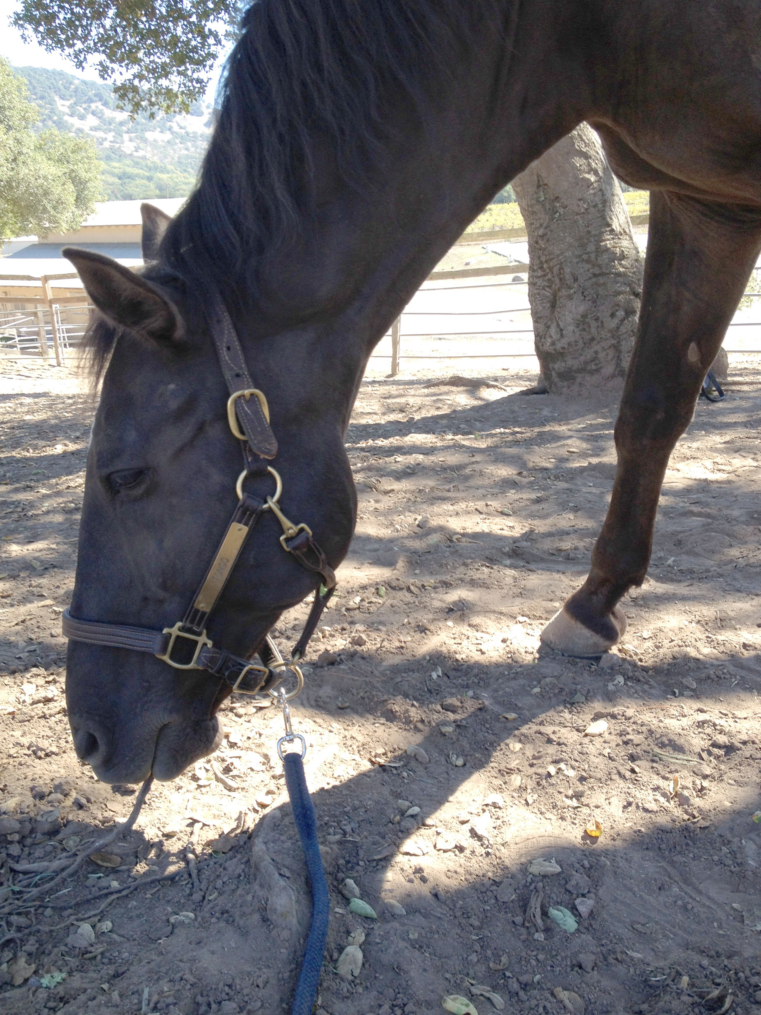 Gallery | Karen Hisata