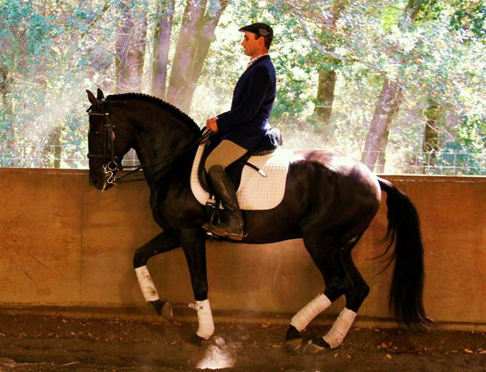 Serelepe do Arete & Carlos Carneiro | Karen Hisata