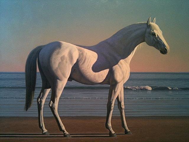 Karen Hisata | Energy Work for Horses, Pets, & People