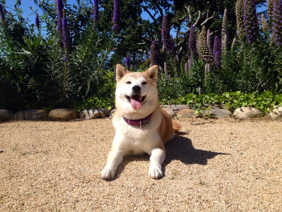 Earth Angel | Karen Hisata