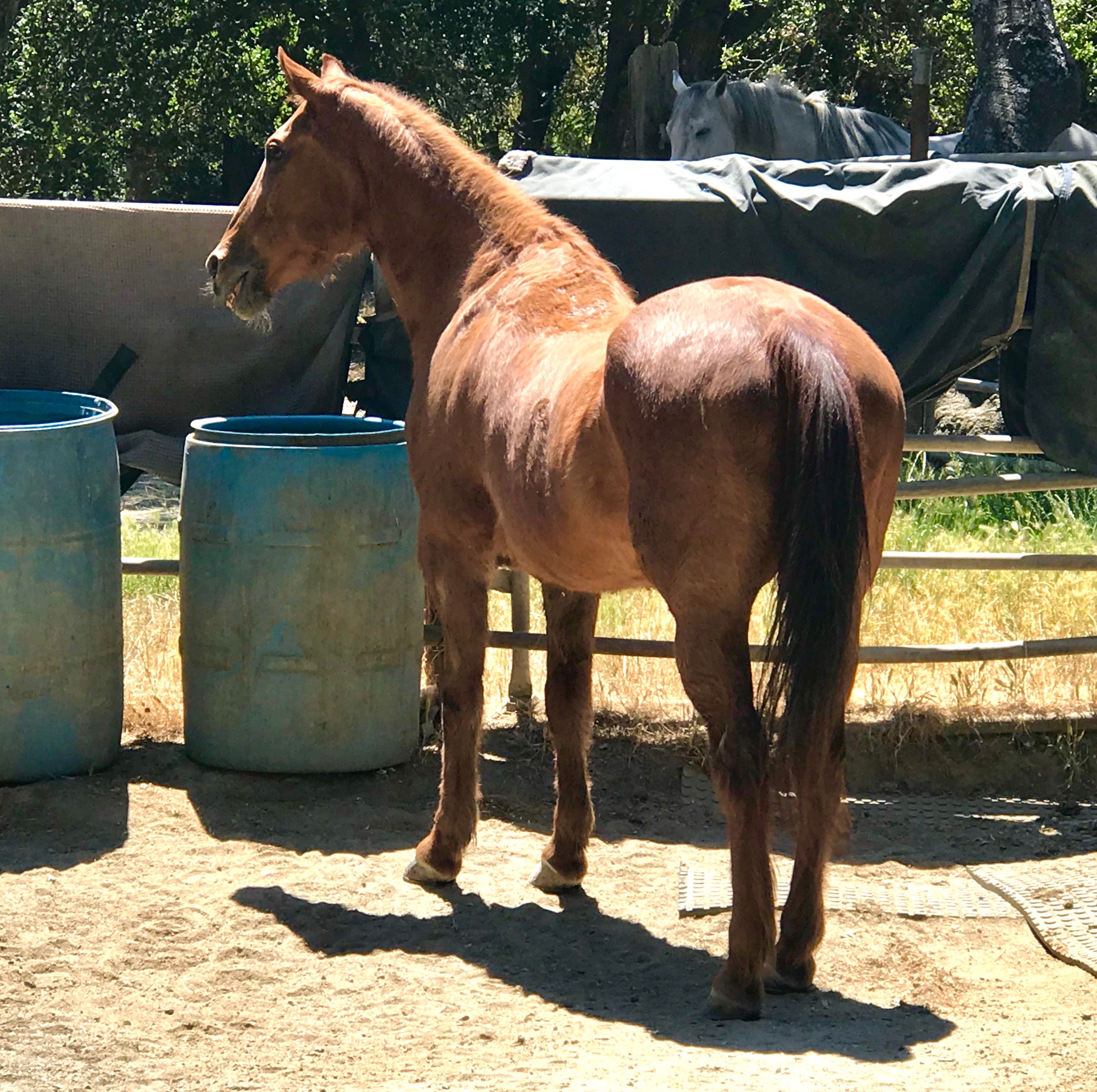 Bumpy’s Owner Shares About Her Experience | Karen Hisata